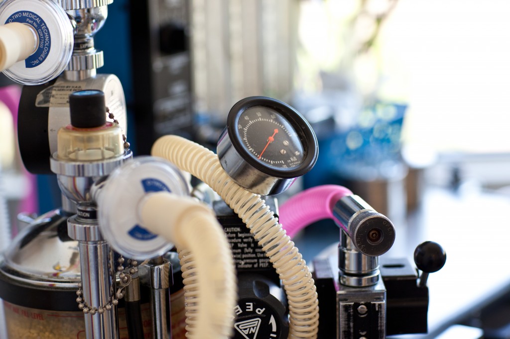 Fixed Prosthesis | Pacific Coast Oral and Maxillofacial Solutions